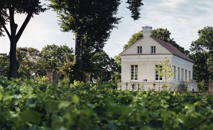 Portz Insel - VINO CIBULKA